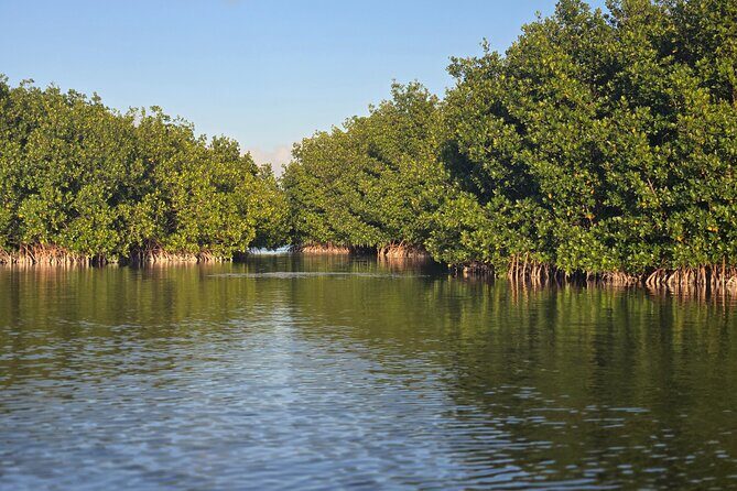 Florida Keys Kayak And Paddleboard Rentals - Key Points