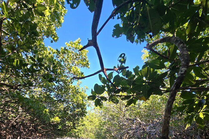 Florida Keys Kayak And Paddleboard Rentals - FAQ