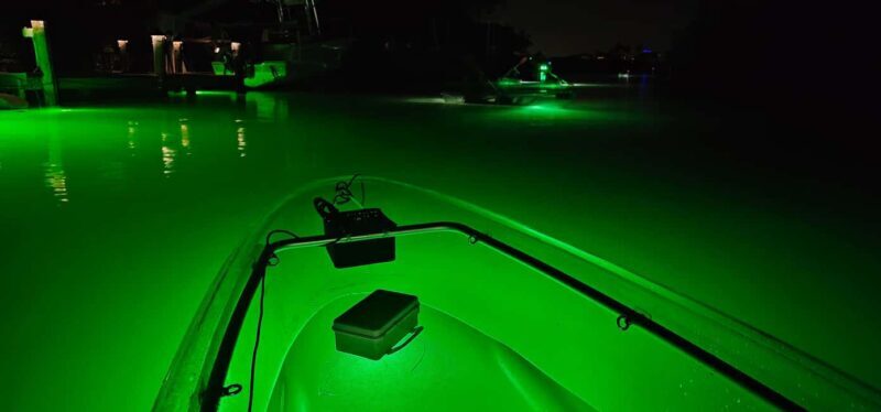 Florida: Sharkey's Guided Fish Feeding LED Night Tour - What to Expect from the Experience