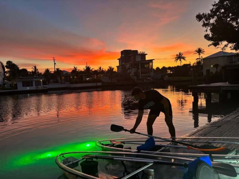 Florida: Sharkey's Guided Fish Feeding LED Night Tour - Authentic Experiences and Insights from Reviews