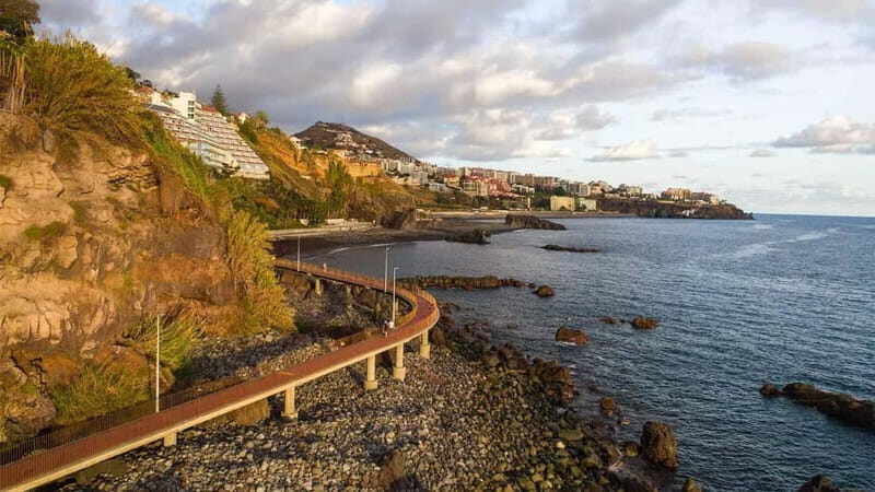 Flowers Of The Forest, Câmara de Lobos 4x4 Jeep Tour - A Deep Dive Into the Madeira 4x4 Jeep Adventure