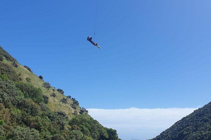 Fly By Wire New Zealand - FAQ