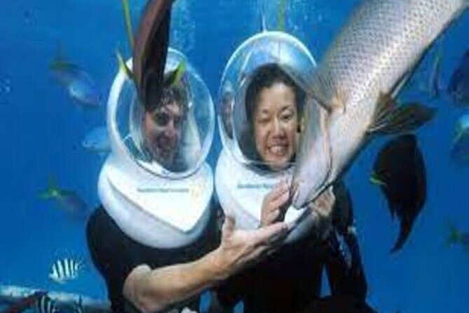 Fly in and Fly out Great Barrier Reef Cairns Day Tour - Analyzing the Cost & Value