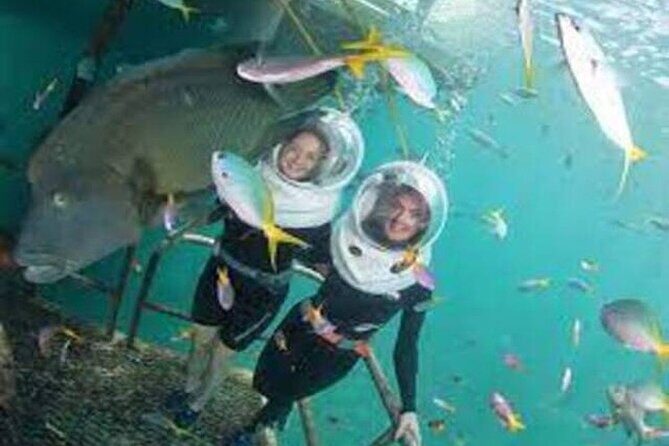 Fly in and Fly out Great Barrier Reef Cairns Day Tour - Practical Tips for Travelers