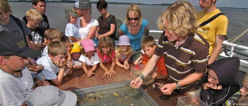 Föhr: A boat trip to the seals - An In-Depth Look at the Föhr Seal Boat Tour