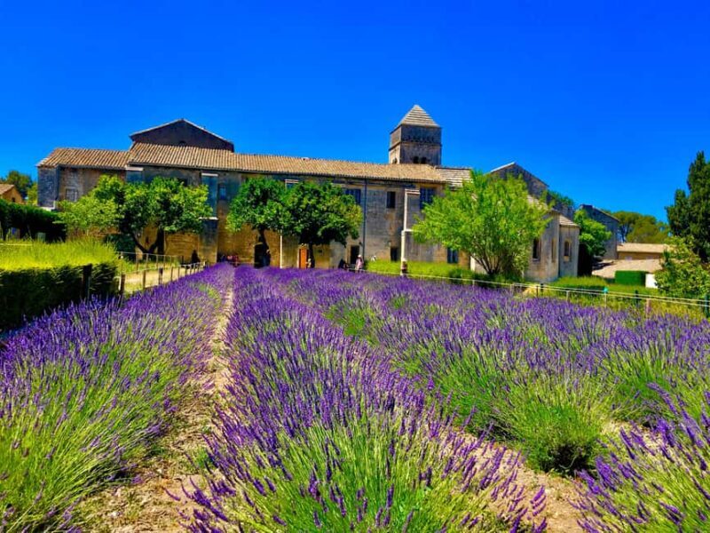 Following the steps of Van Gogh - Frequently Asked Questions