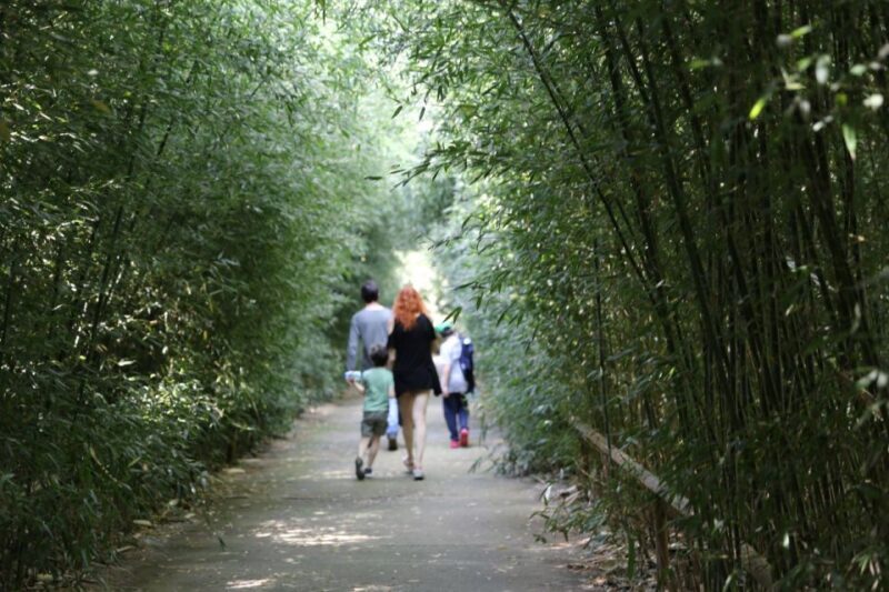 Fontanellato: Labirinto della Masone Full-Day Entry Ticket - Key Points