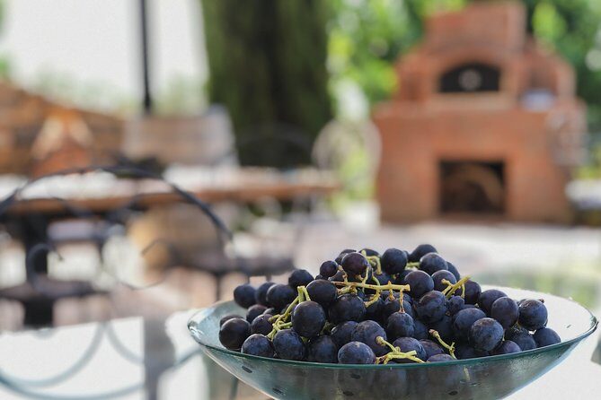 Food and Wine pairing Dinner at Karnas Vineyards Bodrum - Final Thoughts