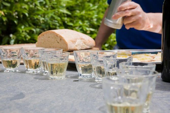 Food and Wine Small Group Tour from Barcelona - Maximum 8 people - An In-Depth Look at the Experience