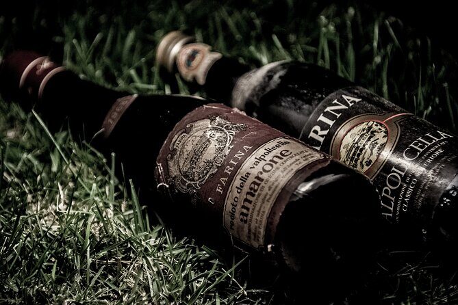 Food and Wine Tasting in Valpolicella - The Sum Up: Why This Tour Should Be on Your Verona Radar