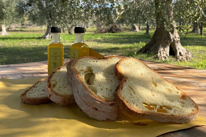 Food and Wine Tour between the Patriarchs Olives and the Oil Temples - The Itinerary in Detail: What to Expect