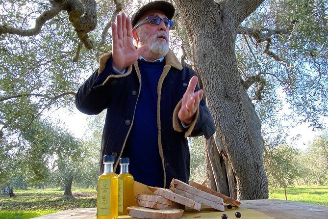 Food and Wine Tour between the Patriarchs Olives and the Oil Temples - Authenticity and Guest Experiences: What You Need to Know