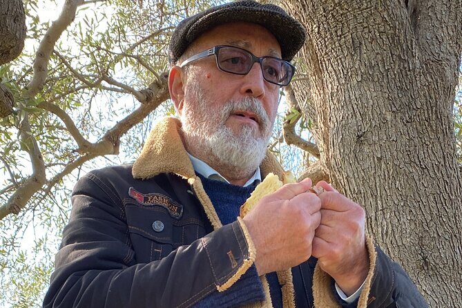 Food and Wine Tour between the Patriarchs Olives and the Oil Temples - FAQ