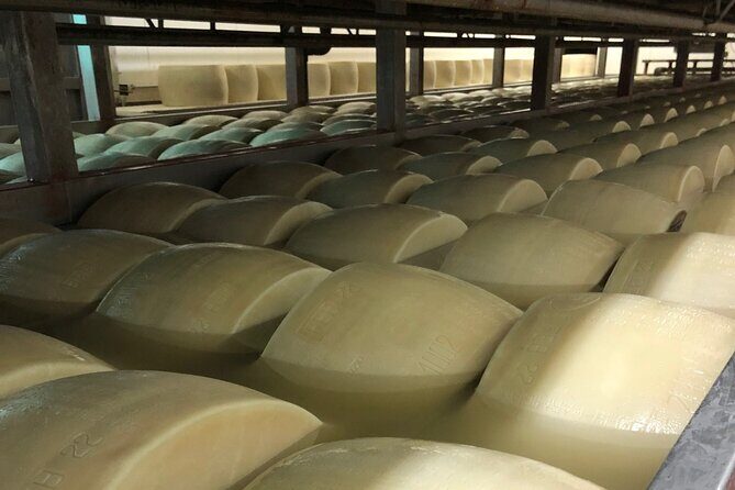 Food Excellences:Prosciutto, Parmigiano, Balsamic,Lunch,Transport - Why This Tour Works