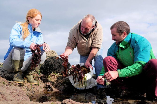 Food, heritage & cultural tour Inishmore, Aran Islands. Guided. - FAQ