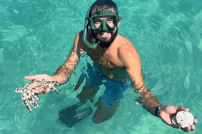 Footloose Catamaran Snorkel and Dolphin Watch Tour - Final thoughts: Who is this tour best for?