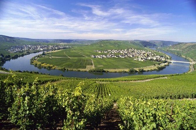 For the love of Riesling - Mosel Wine tour - An In-Depth Look at the Mosel Wine Tour Experience