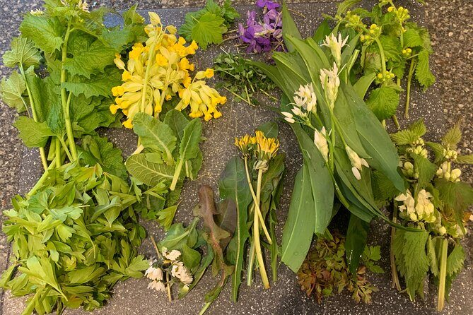 Foraging walk for beginners - Introduction