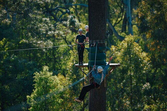 Forest Adventures - Detailed Breakdown of the Itinerary