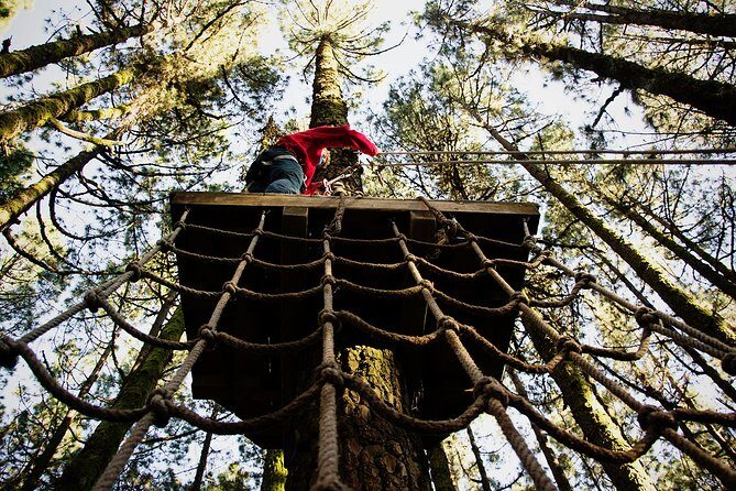 Forestal Park Tenerife Entrance Ticket - A Closer Look at the Forestal Park Tenerife Experience