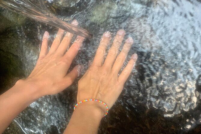 Forestbathing Slow Walking and Healing Spring Water, Stockholm - FAQ