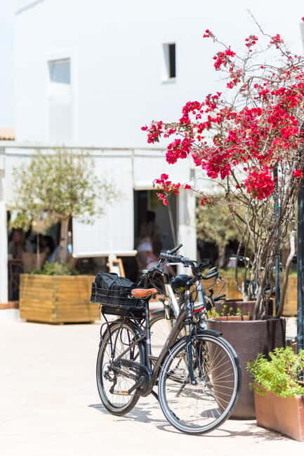 Formentera: discover our fast ferry + bike package - Key Points