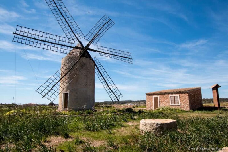 Formentera: discover our fast ferry + electric bike package. - The Environmental and Social Impact