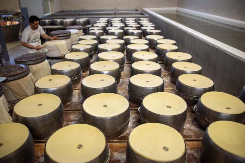 Formigine: Parmigiano tour with full tasting - Final Thoughts