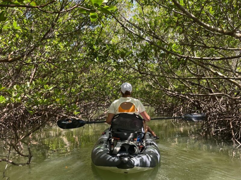 Fort Pierce: Prehistoric Preserve Kayak Tour - Key Points
