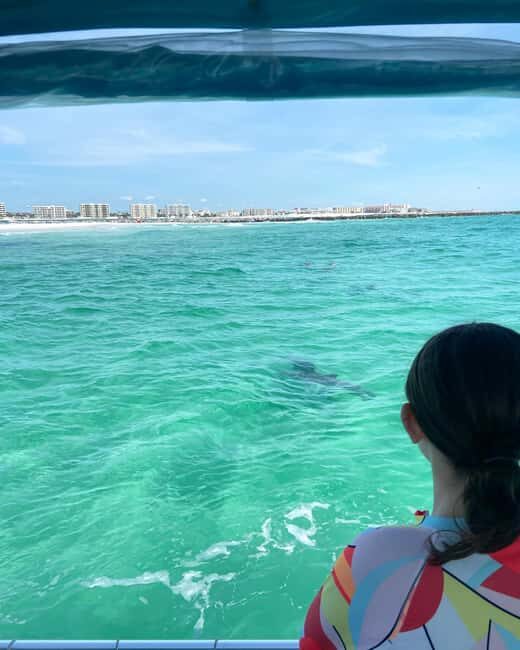 Fort Walton Beach: Emerald Coast 2-hour Dolphin Cruise - Key Points