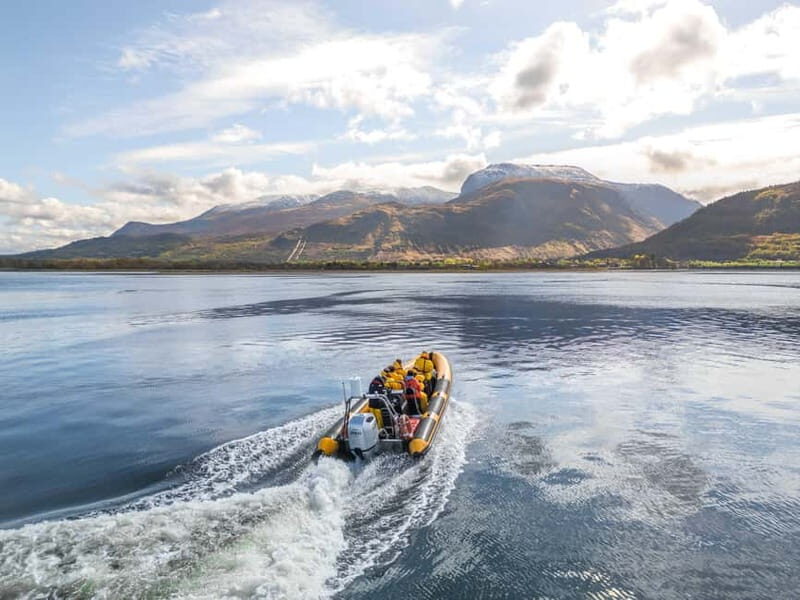 Fort William: 1hr Loch Safari Speedboat Tour - Key Points