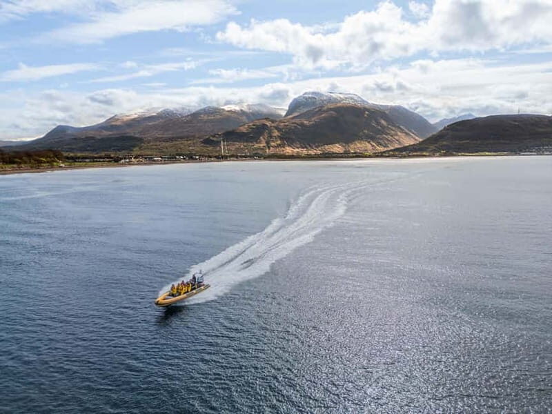 Fort William: 1hr Loch Safari Speedboat Tour - Who Will Enjoy This Experience?