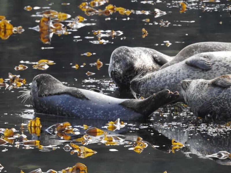 Fort William: Speed Boat Adventure - Is It Worth the Price?