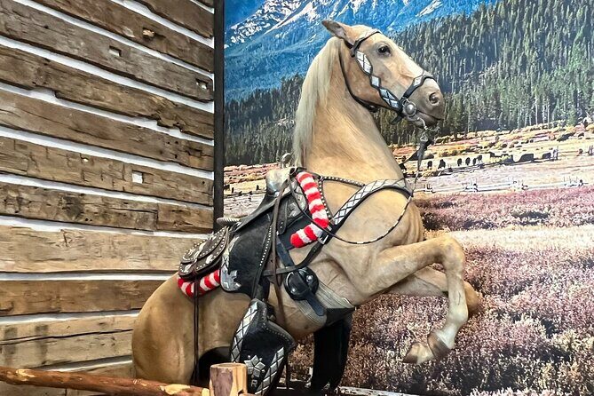 Fort Worth Highlights, Billy Bobs & John Wayne Day Tour - Frequently Asked Questions