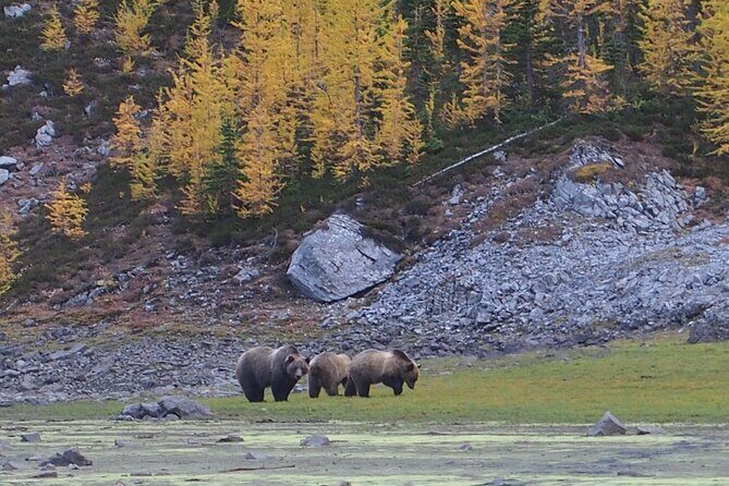 Fortress Backcountry Ridgeline Private Hiking Adventure - Who Should Consider This Tour?