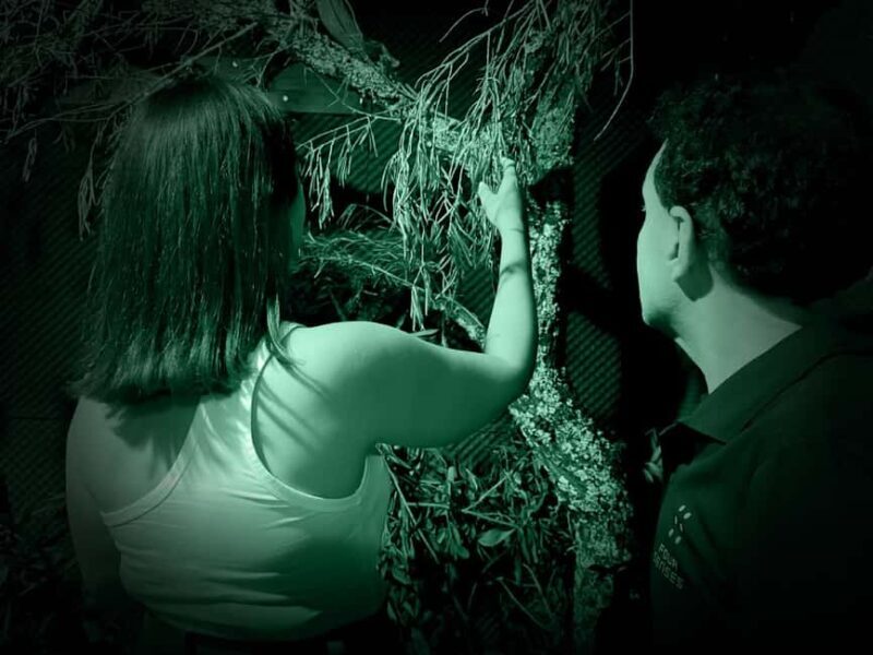FOUR SENSES: The Immersive Experience in the Dark  Faro - Key Points