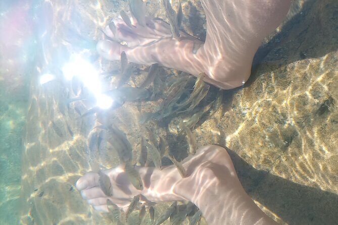 Fox Canyon Tour - FAQ