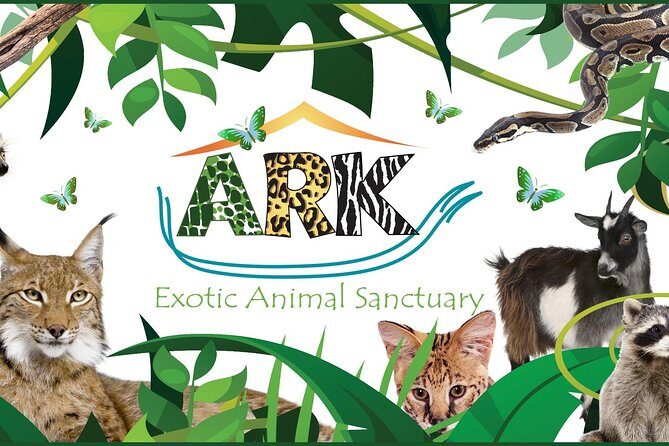 Fox Encounter for 2 people and park entry - Key Points