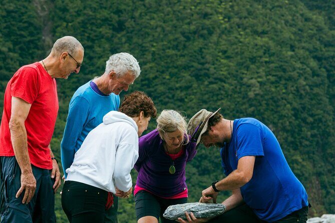 Fox Glacier Nature Tour - An Honest Look at the Fox Glacier Nature Tour