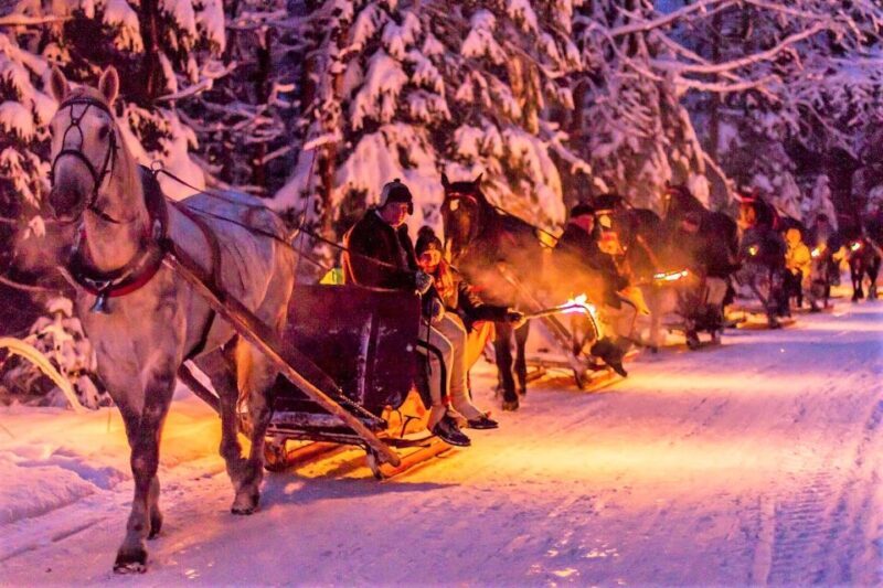 Fram Kraków: Tatra Mountain Sleigh Ride in Zakopane - Overview of the Tatra Mountain Sleigh Ride Experience