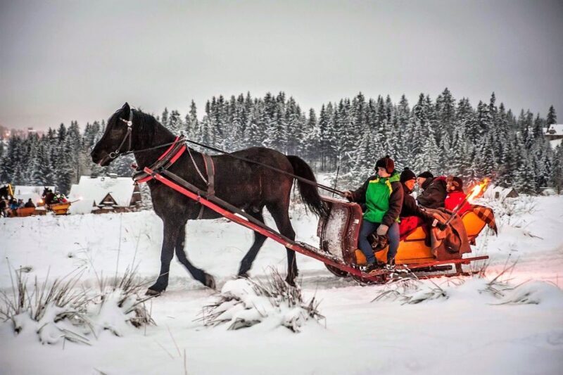 Fram Kraków: Tatra Mountain Sleigh Ride in Zakopane - The Sleigh Ride: What To Expect