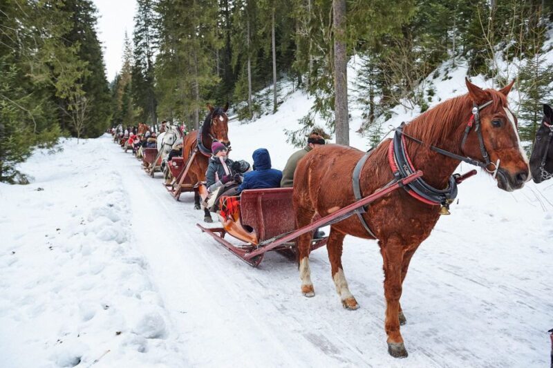 Fram Kraków: Tatra Mountain Sleigh Ride in Zakopane - What Travelers Say: The Honest Truth