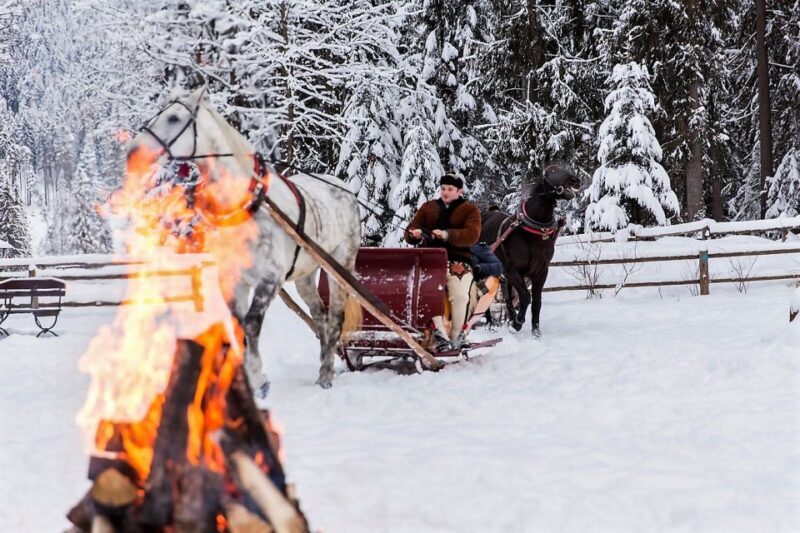 Fram Kraków: Tatra Mountain Sleigh Ride in Zakopane - Practical Details and Tips