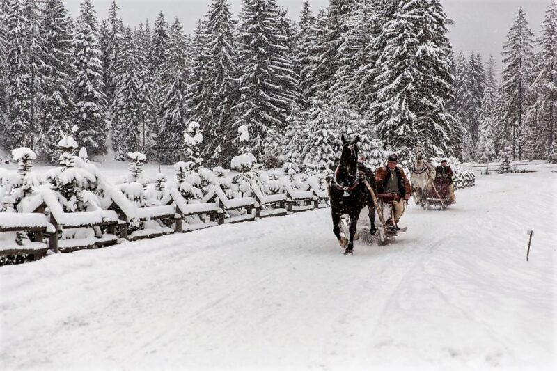 Fram Kraków: Tatra Mountain Sleigh Ride in Zakopane - Final Thoughts