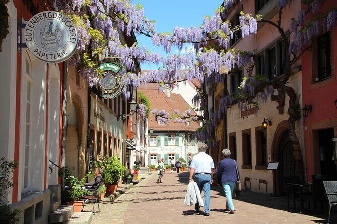 France, Germany and Switzerland Full Day Tour from Colmar - Transportation & Comfort