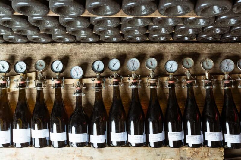 Franciacorta: visit the vineyard, cellar, and enjoy an Edea To tasting - Key Points