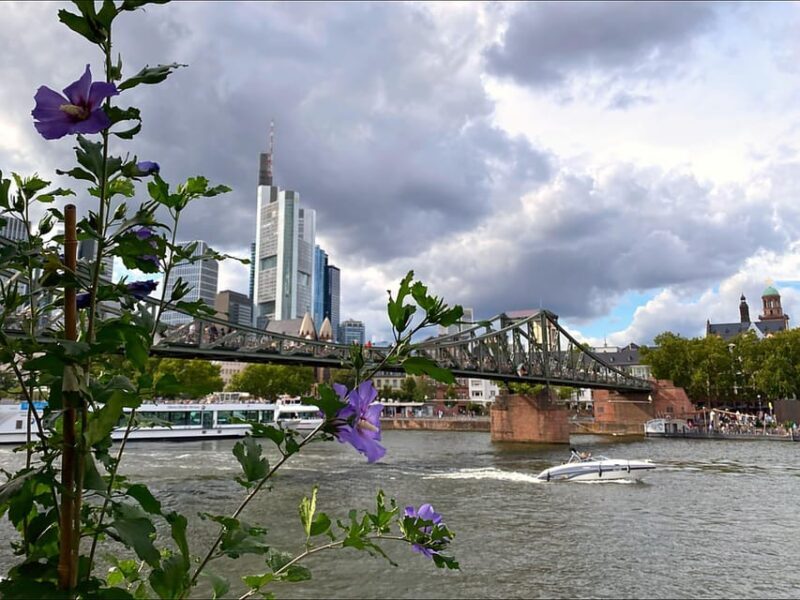 Frankfurt: Discover the heart of Frankfurt  a city tour in Russian - Who Is This Tour Best For?