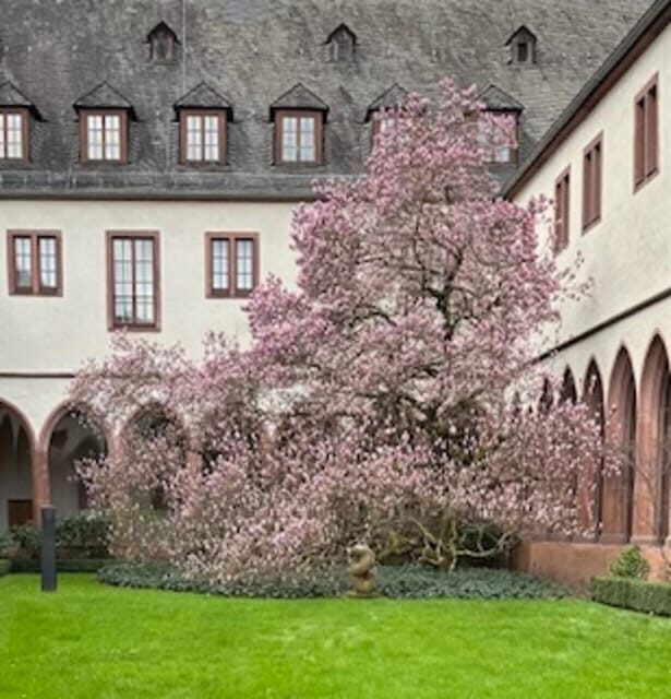 Frankfurt on Foot Daily Walking Tour in English - The Bottom Line: Who Will Love This Tour?