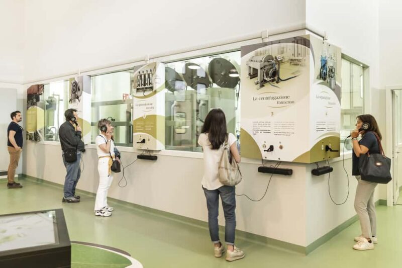 Frantoio di San Gimignano: tour of the oil mill and tasting - Exploring the Experience: What You Can Expect