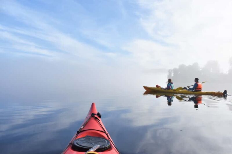 Franz Josef: 3-Hour Kayak Tour on Lake Mapourika - Final Thoughts: Is This Tour Worth It?
